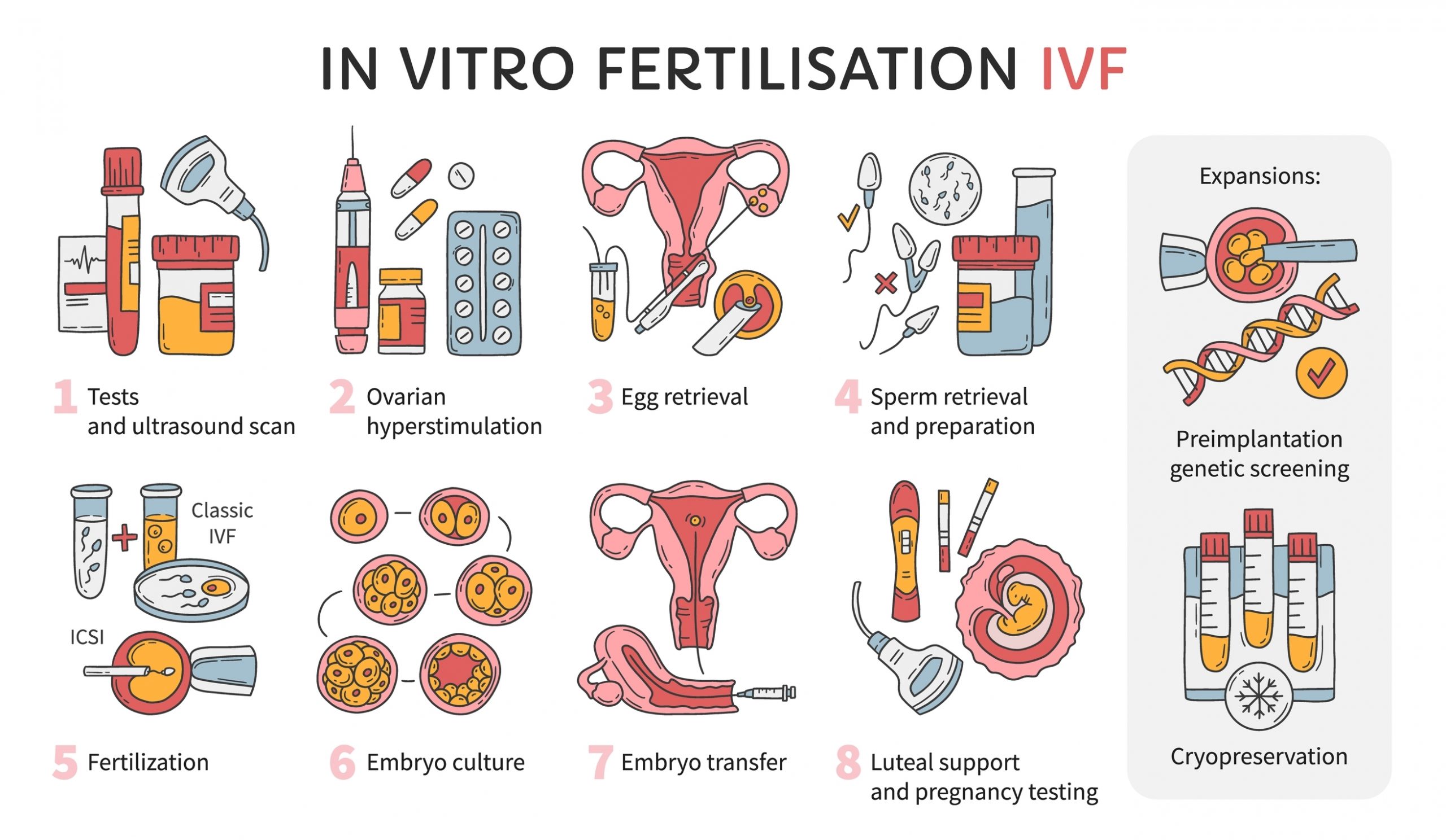 IVF treatment: what is it and what’s the process like?